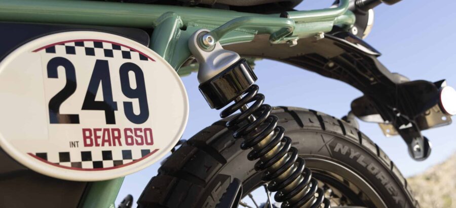 Bear 650 – GV Bikes